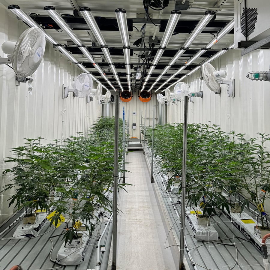 Plug-n-Play Cultivation Solution for Canada's Micro Cultivators