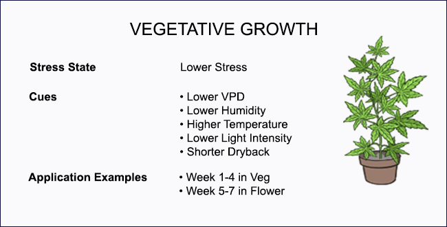 Crop Steering: Perfecting Climate Cues