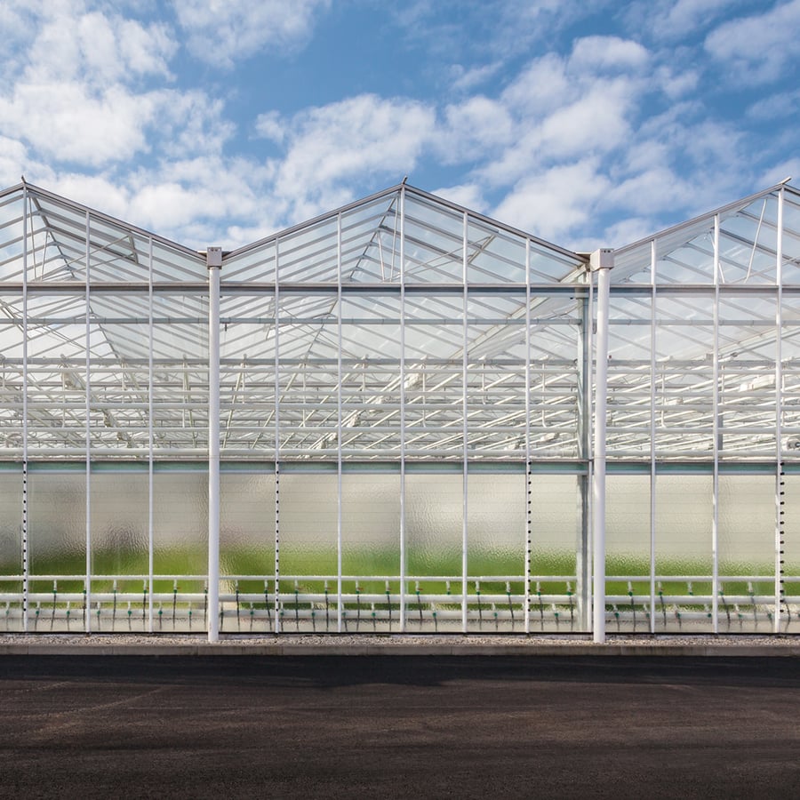 Cannabis Facility Design for Long-Term Scalability